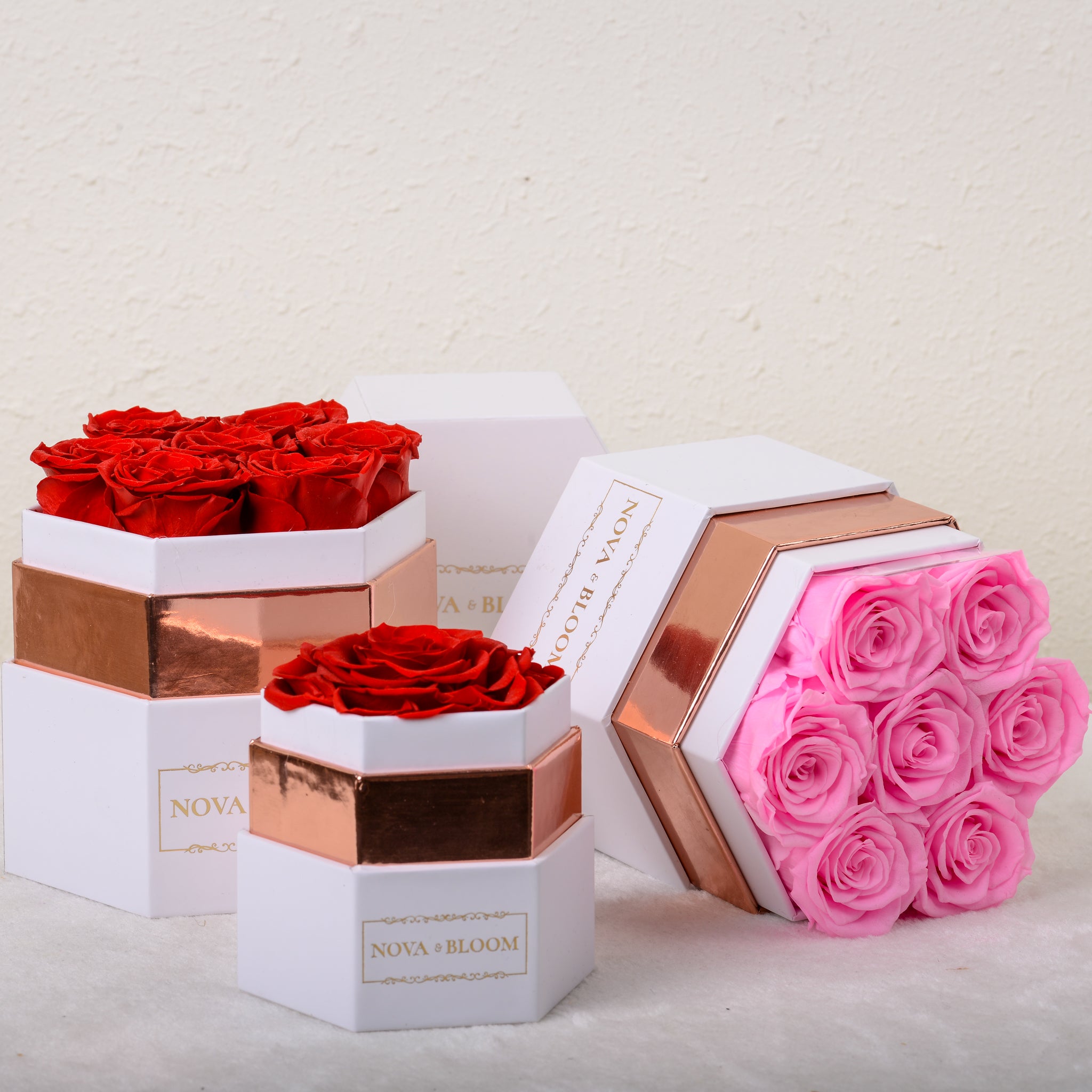 Hexagon Eternal Blooms – Nova & Bloom